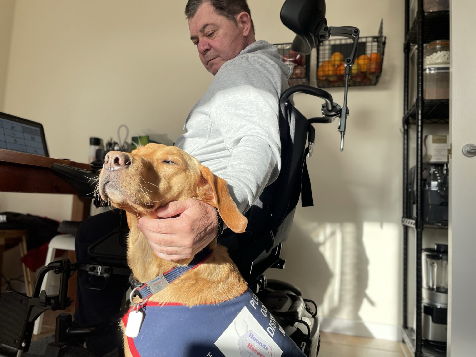Partnering assistance dogs with injured and disabled former soldiers ...