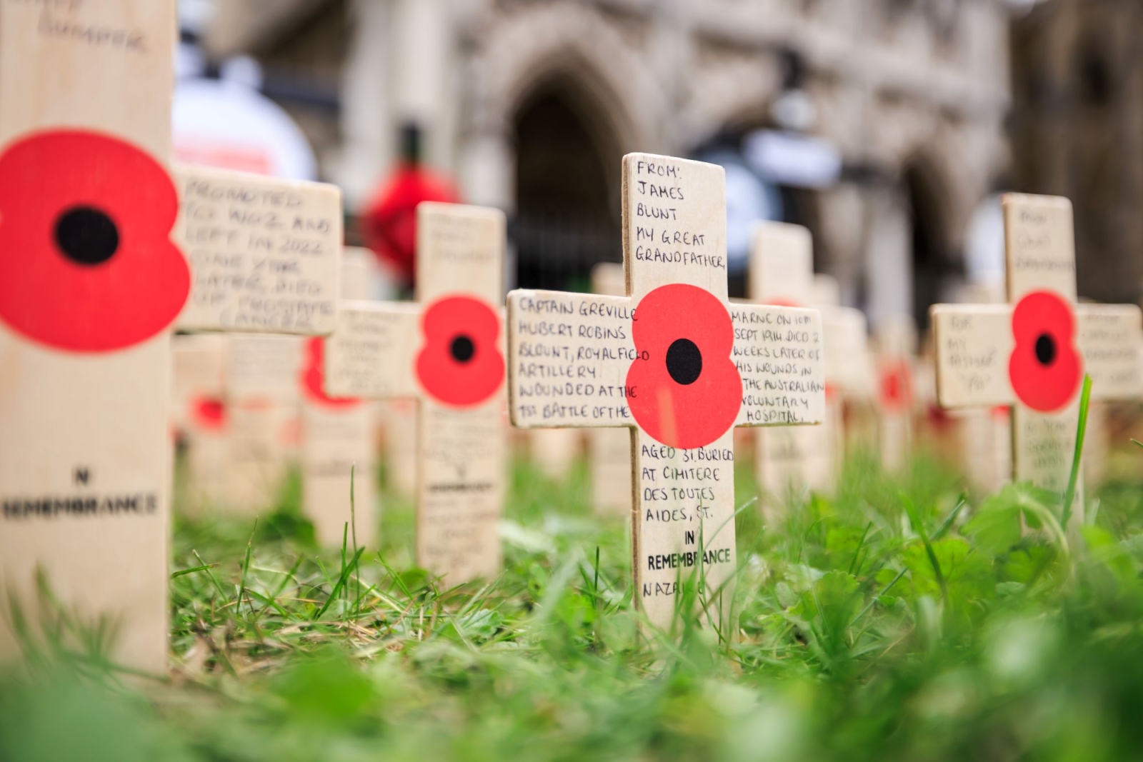 Army Benevolent Fund joined Westminster Abbey Field of Remembrance to ...